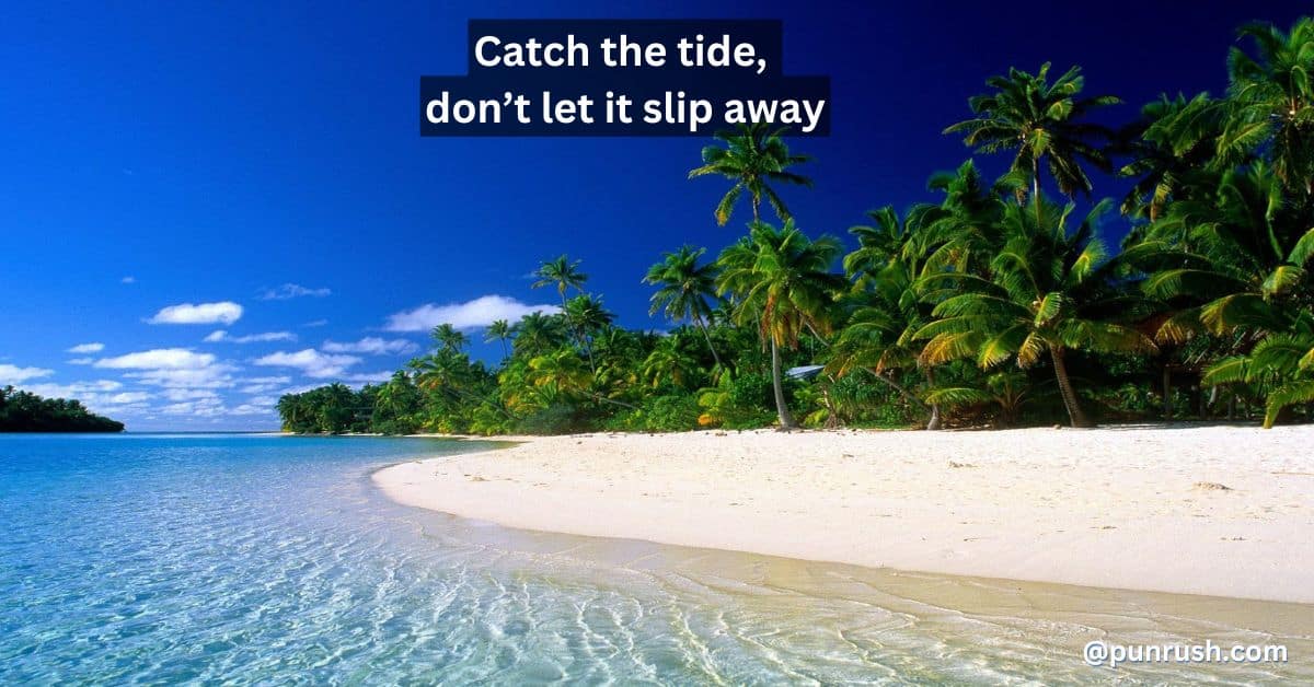 Tides of Humor: 160 One-Liner Beach Puns - Punrush